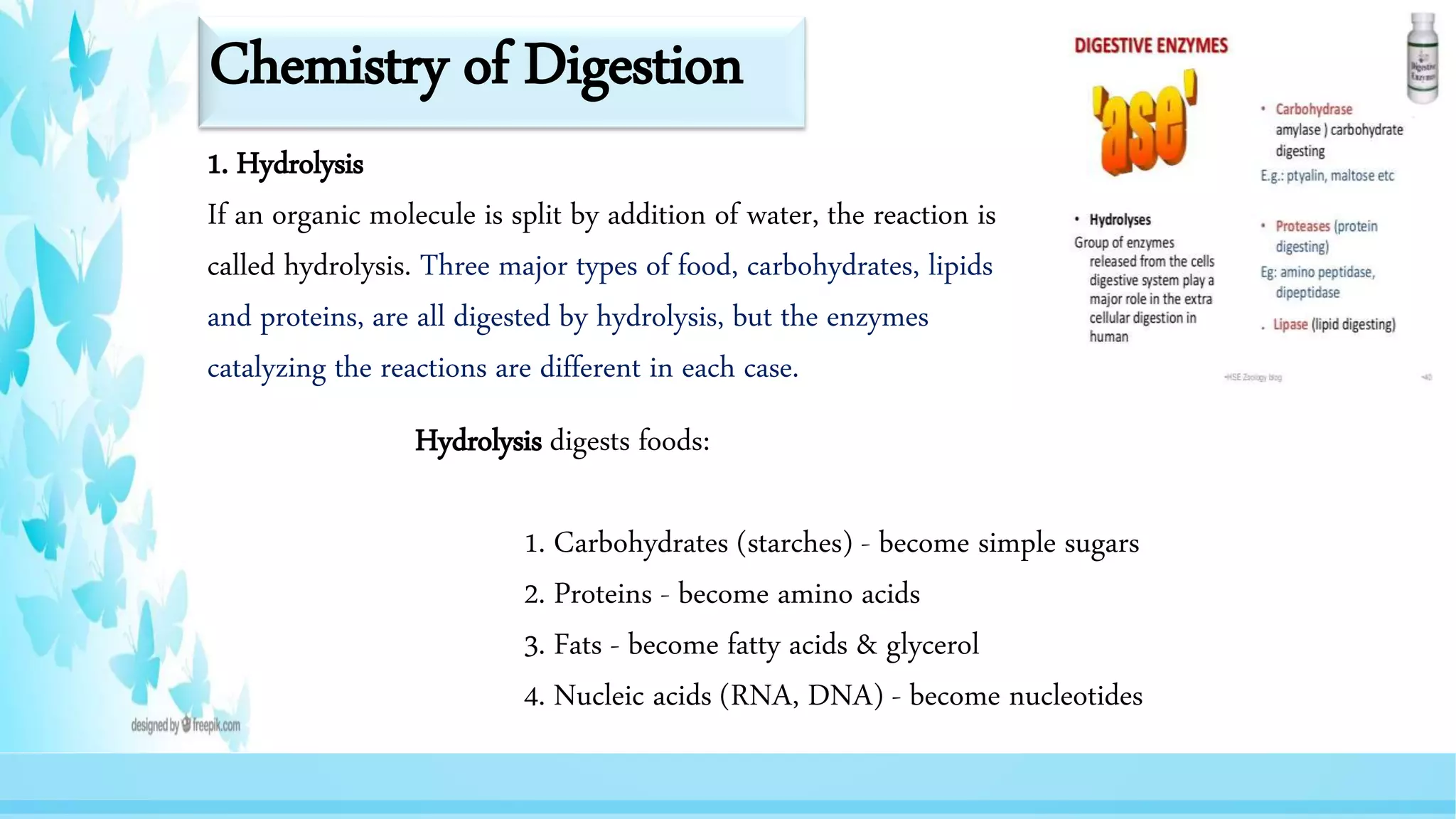 Digestive enzymes | PPTX