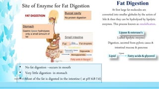Digestive enzymes | PPTX