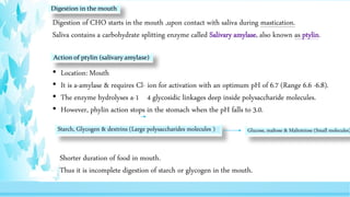 Digestive enzymes | PPTX