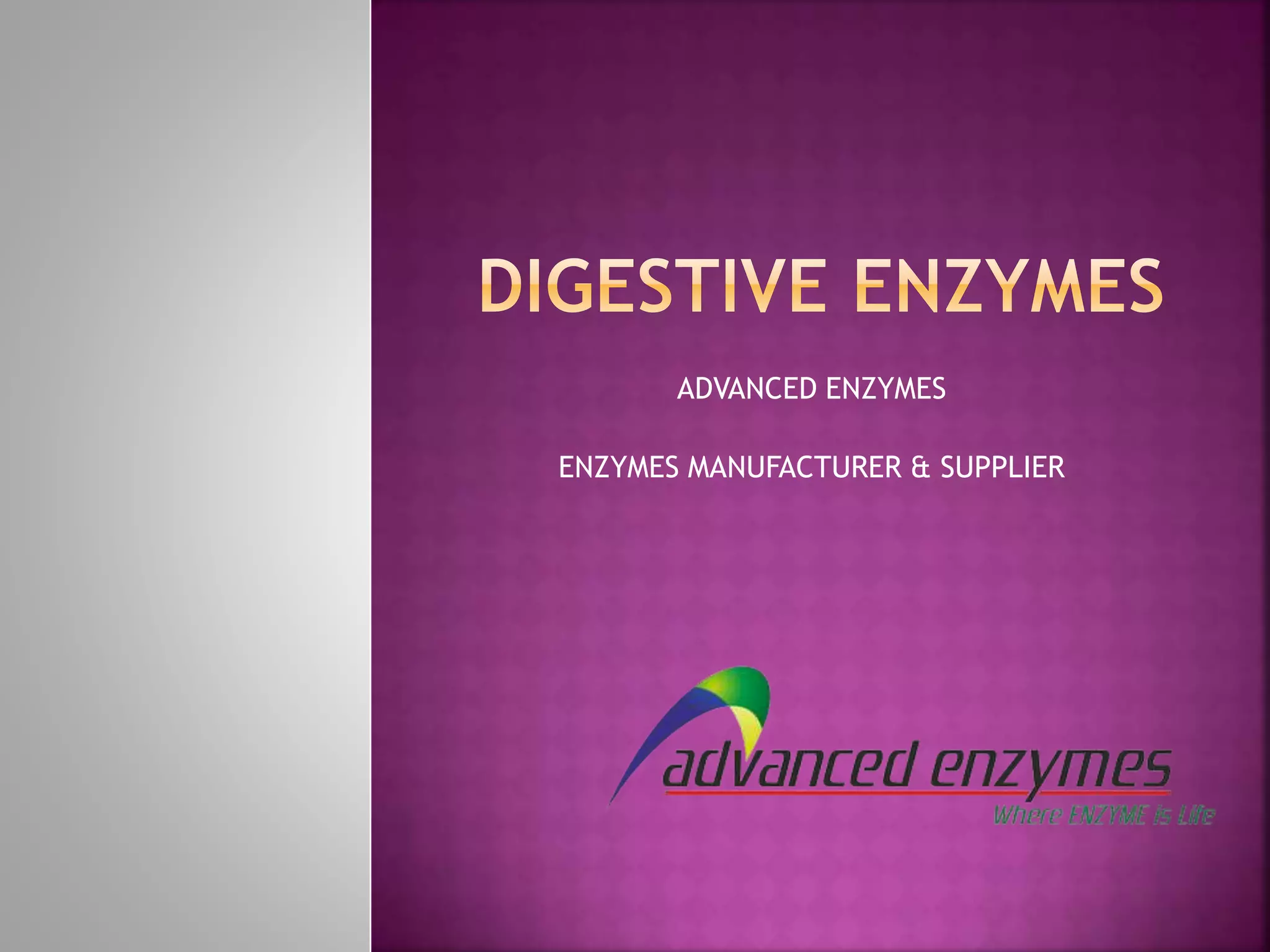 Digestive Enzymes and Their Functions | PPTX