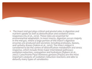 Digestive enzymes in cockroach an overview | PPT