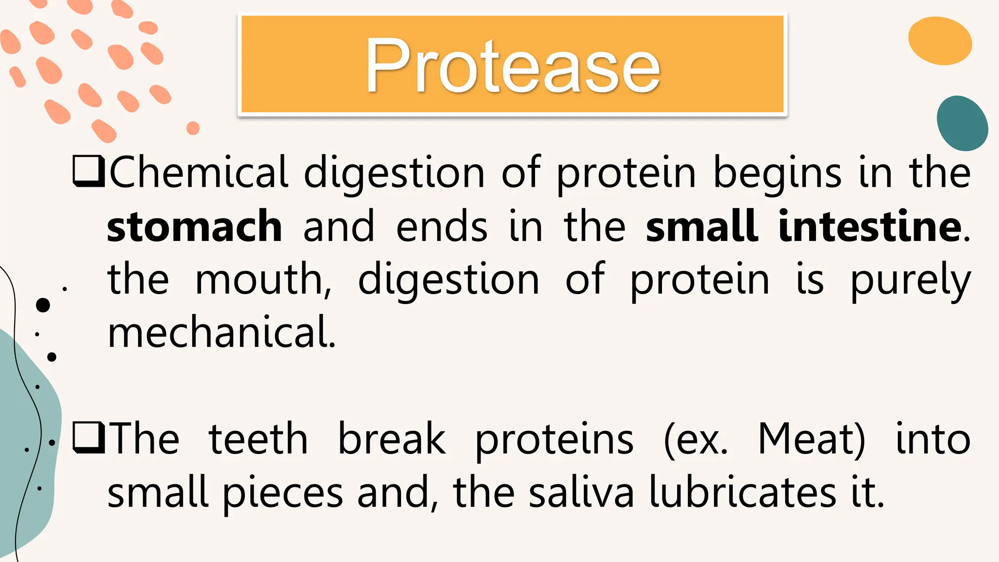Digestive Enzymes ppt.pptx