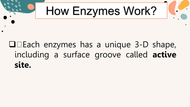 Digestive Enzymes ppt.pptx