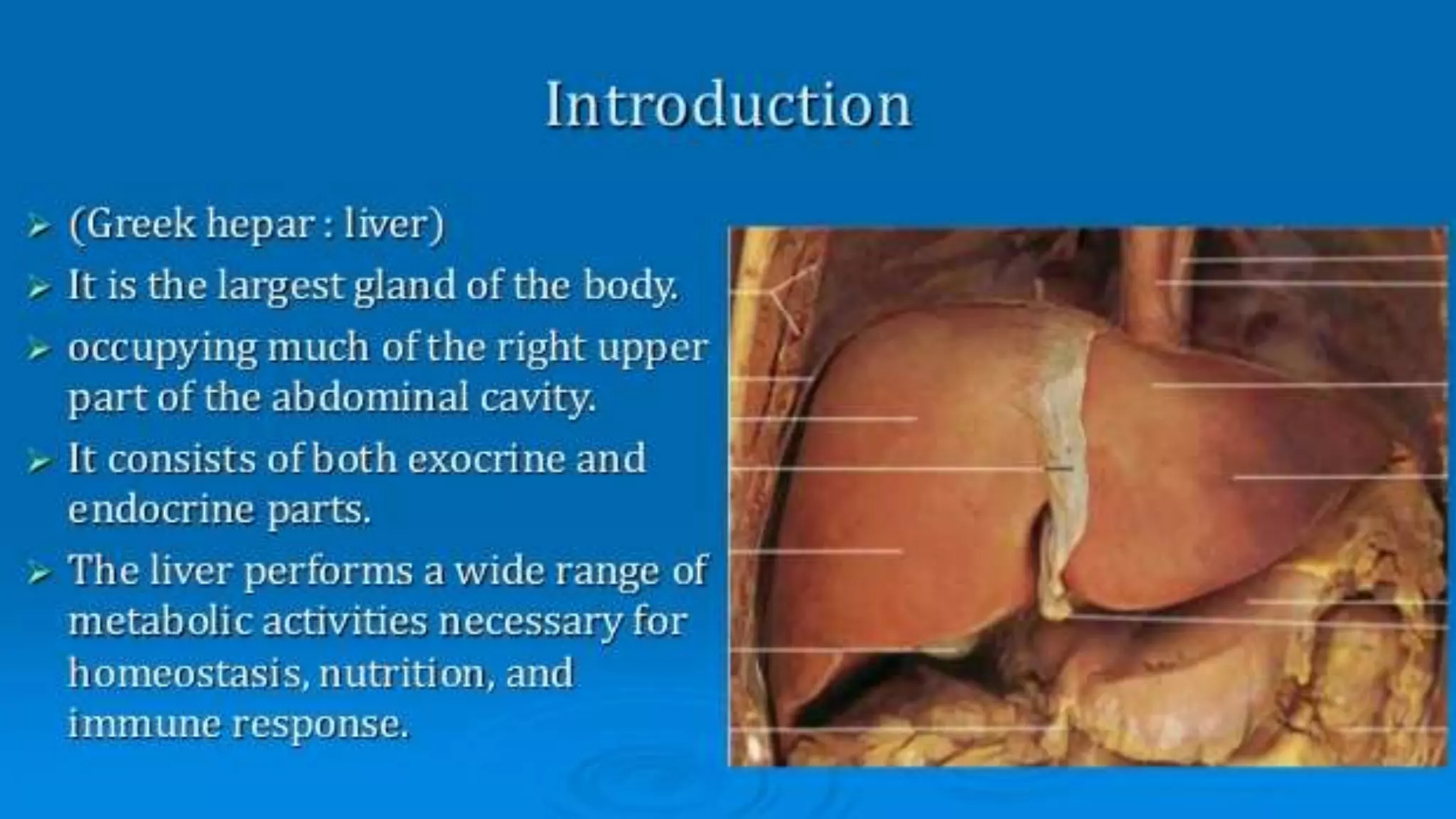 Digestive function of liver and gall bladder | PPT
