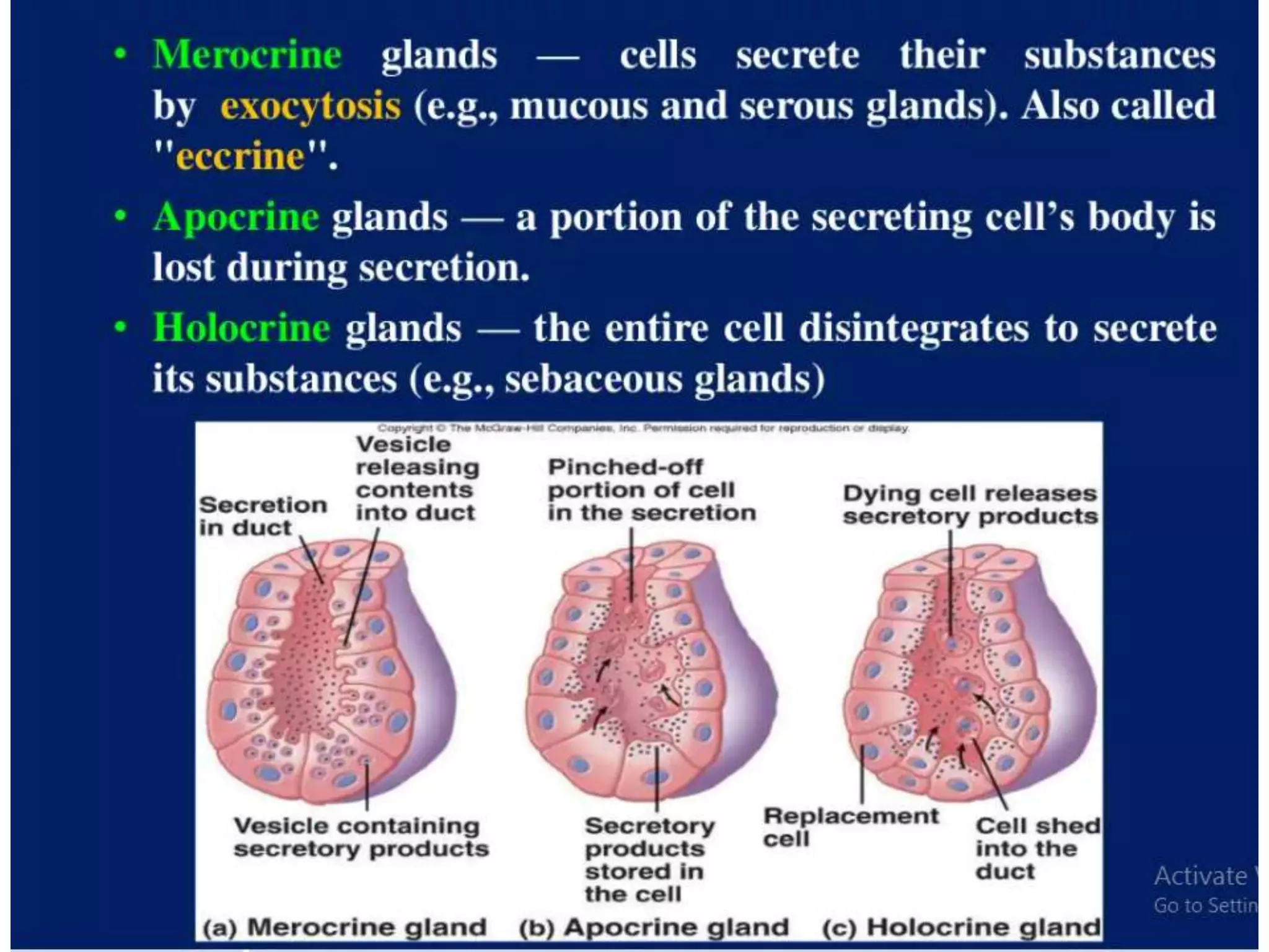 Digestive gland.pptx