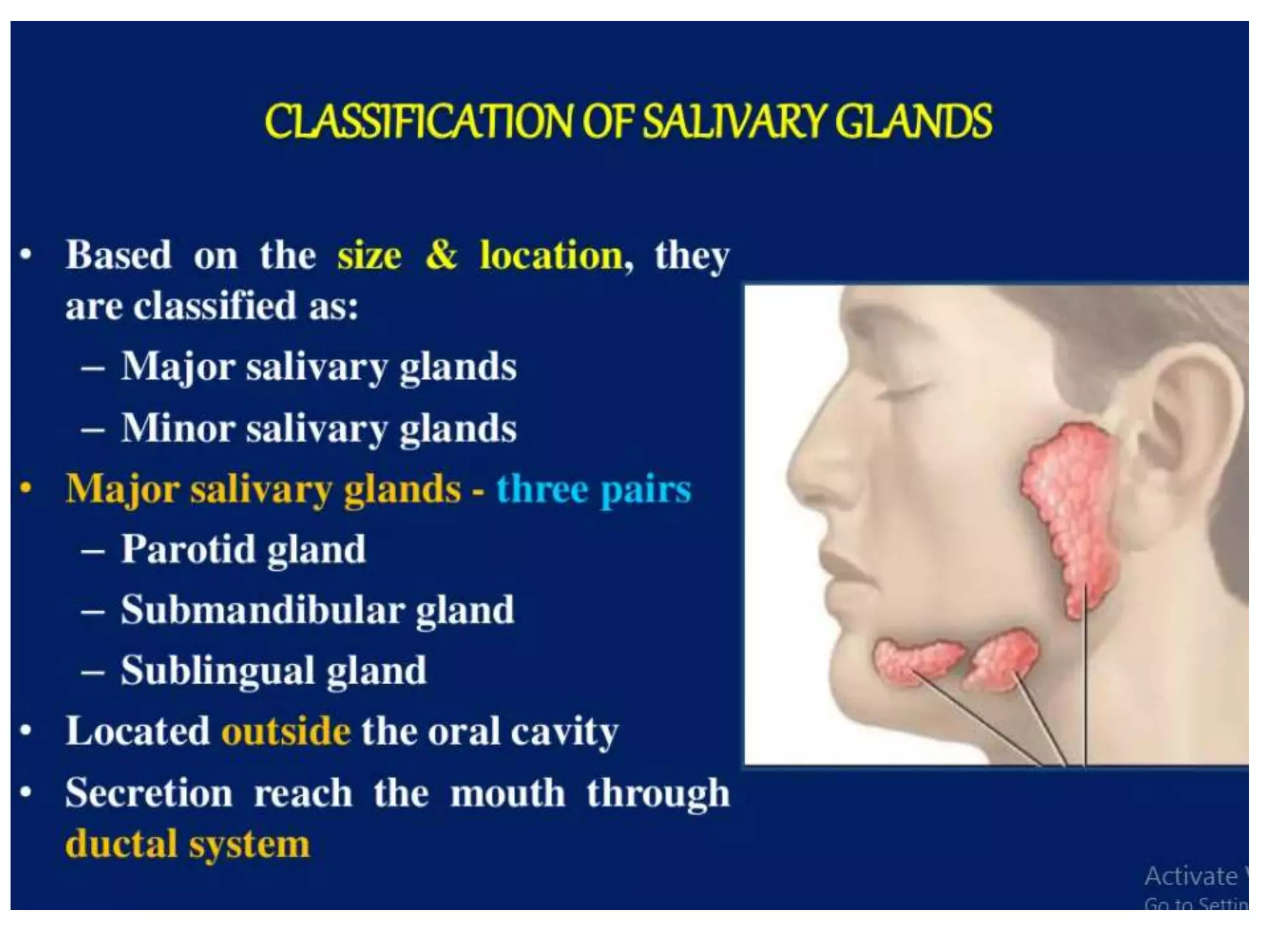 Digestive gland.pptx