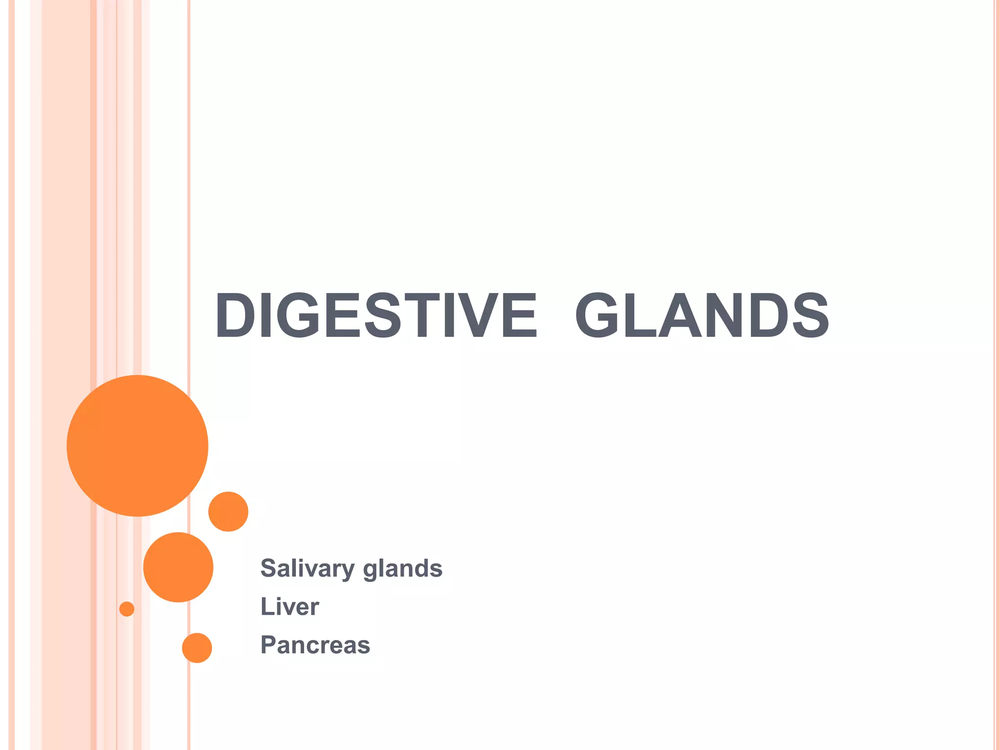 Digestive glands | PPTX