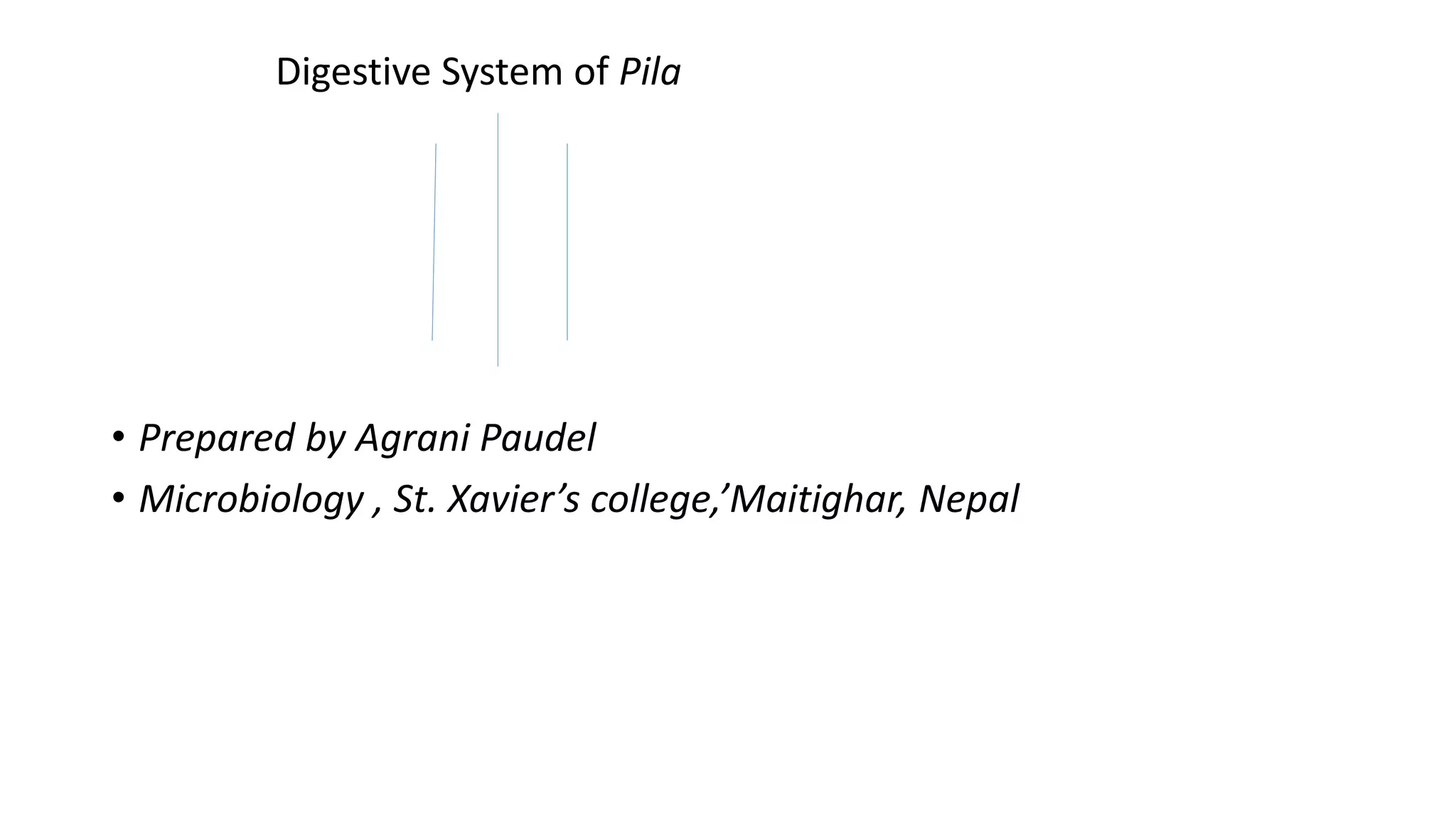 Digestive glands Of Pila globusa | PPTX