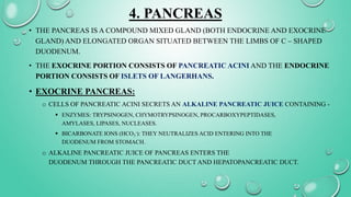 DIGESTIVE GLANDS//Associative Glands of GIT// LIVER | PPTX