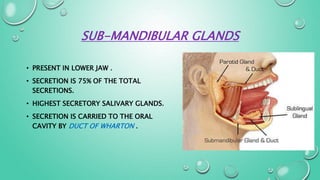 DIGESTIVE GLANDS//Associative Glands of GIT// LIVER | PPTX