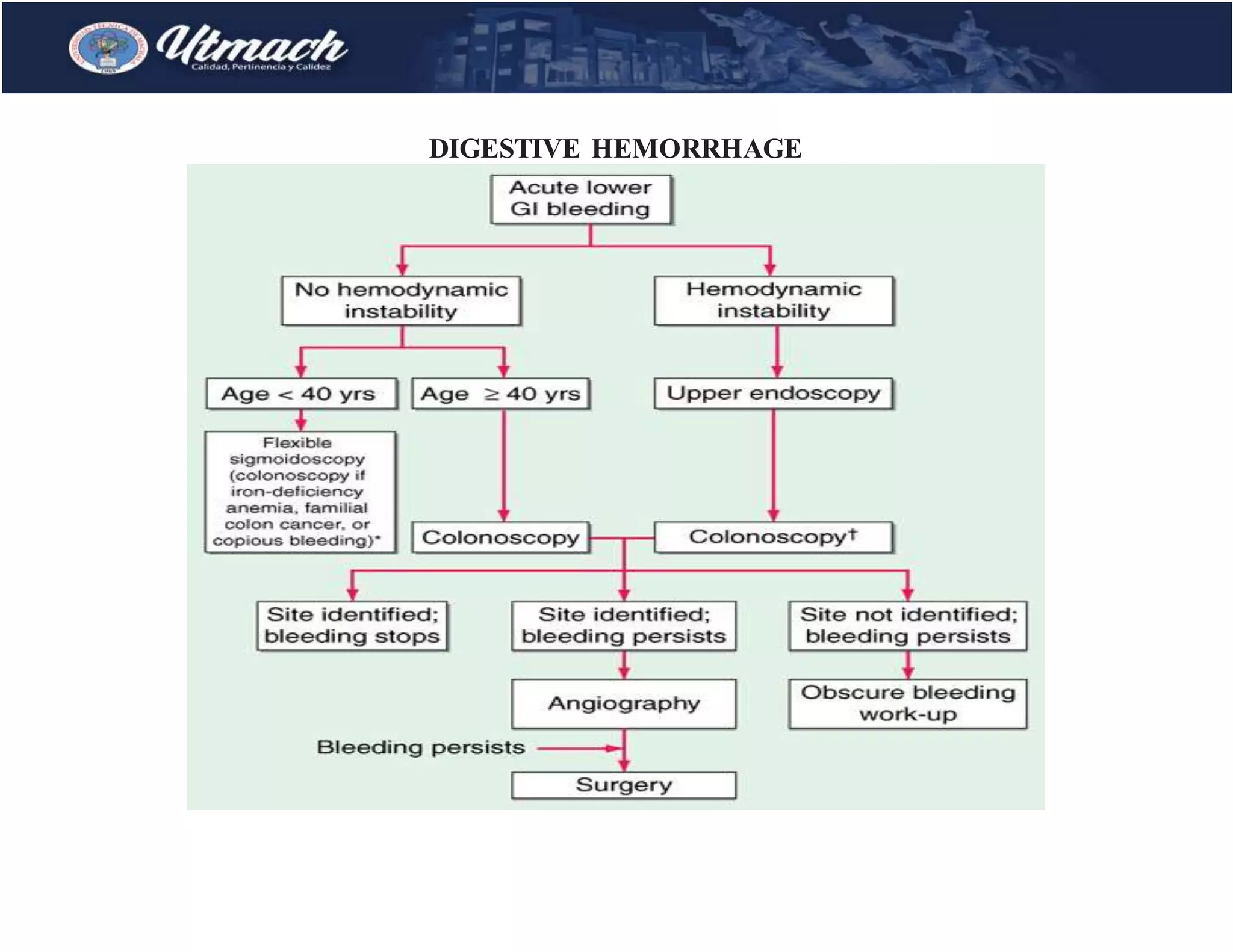 Digestive hemorrhage algorithm | DOCX