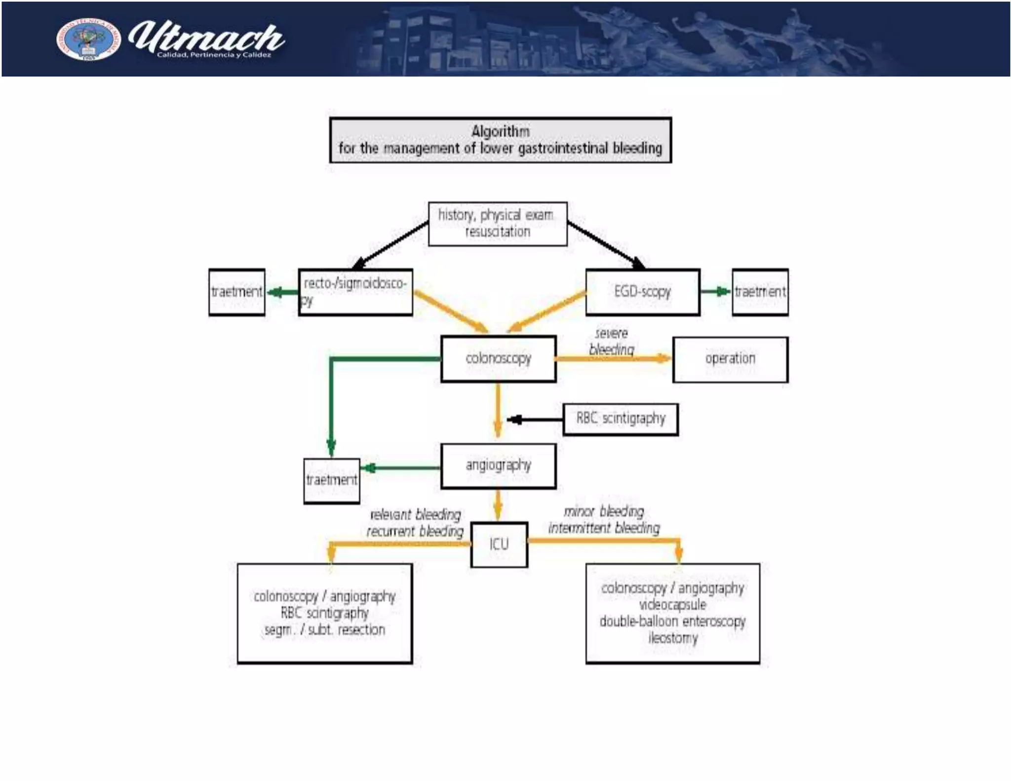 Digestive hemorrhage algorithm | DOCX