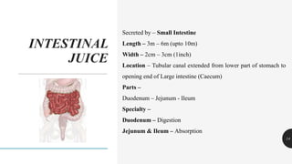 DIGESTIVE JUICES.pptx