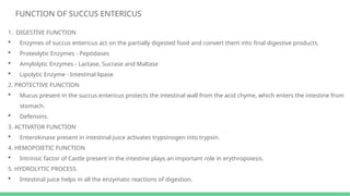 Detailed physiology of Digestive Juices. | PPTX