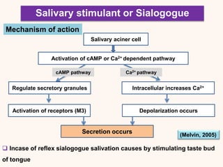 Digestive Pharmacology/ Drug acting on GIT | PPT