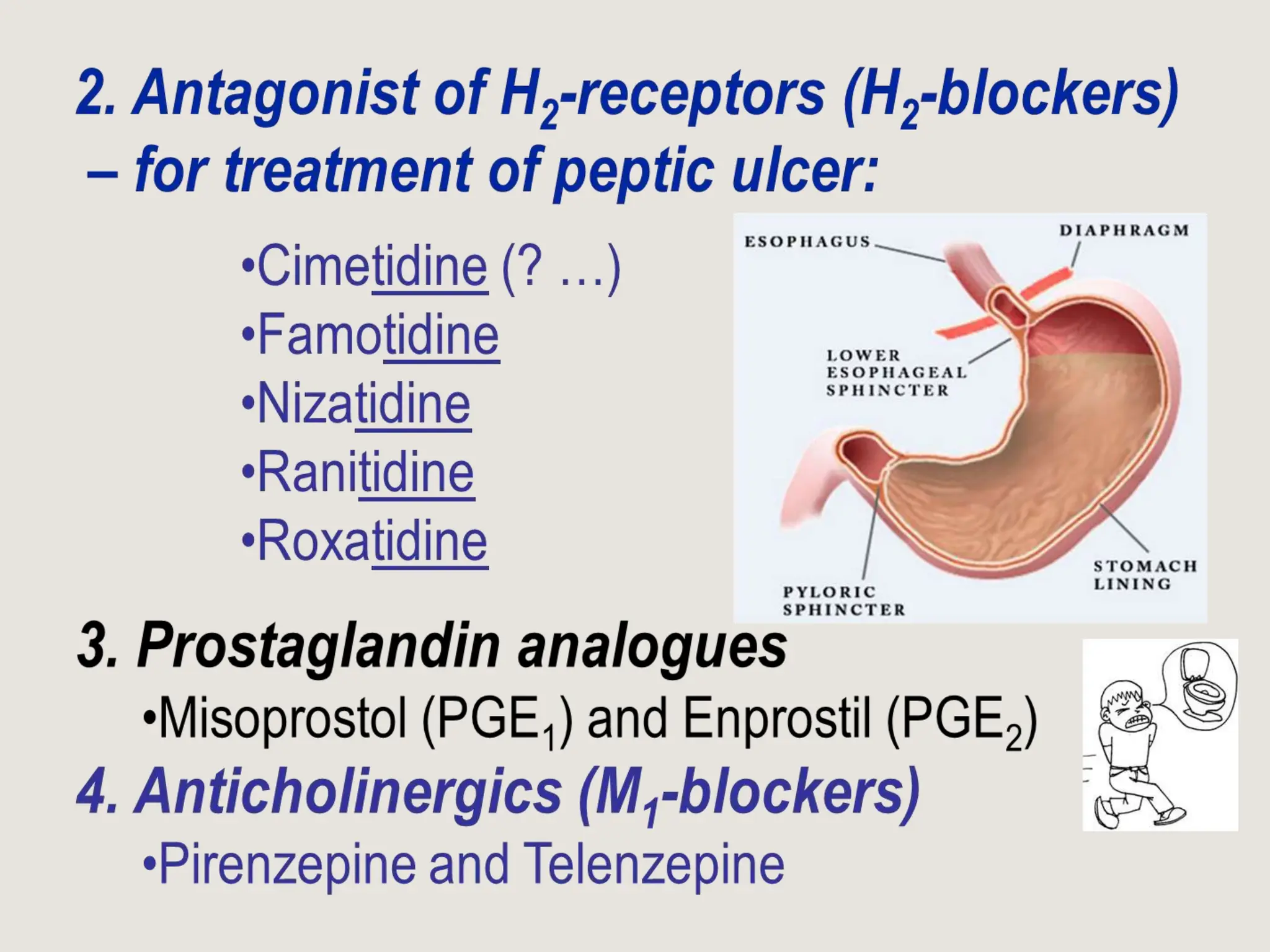 Drugs to treat digestive disorders in ruminants | PPTX