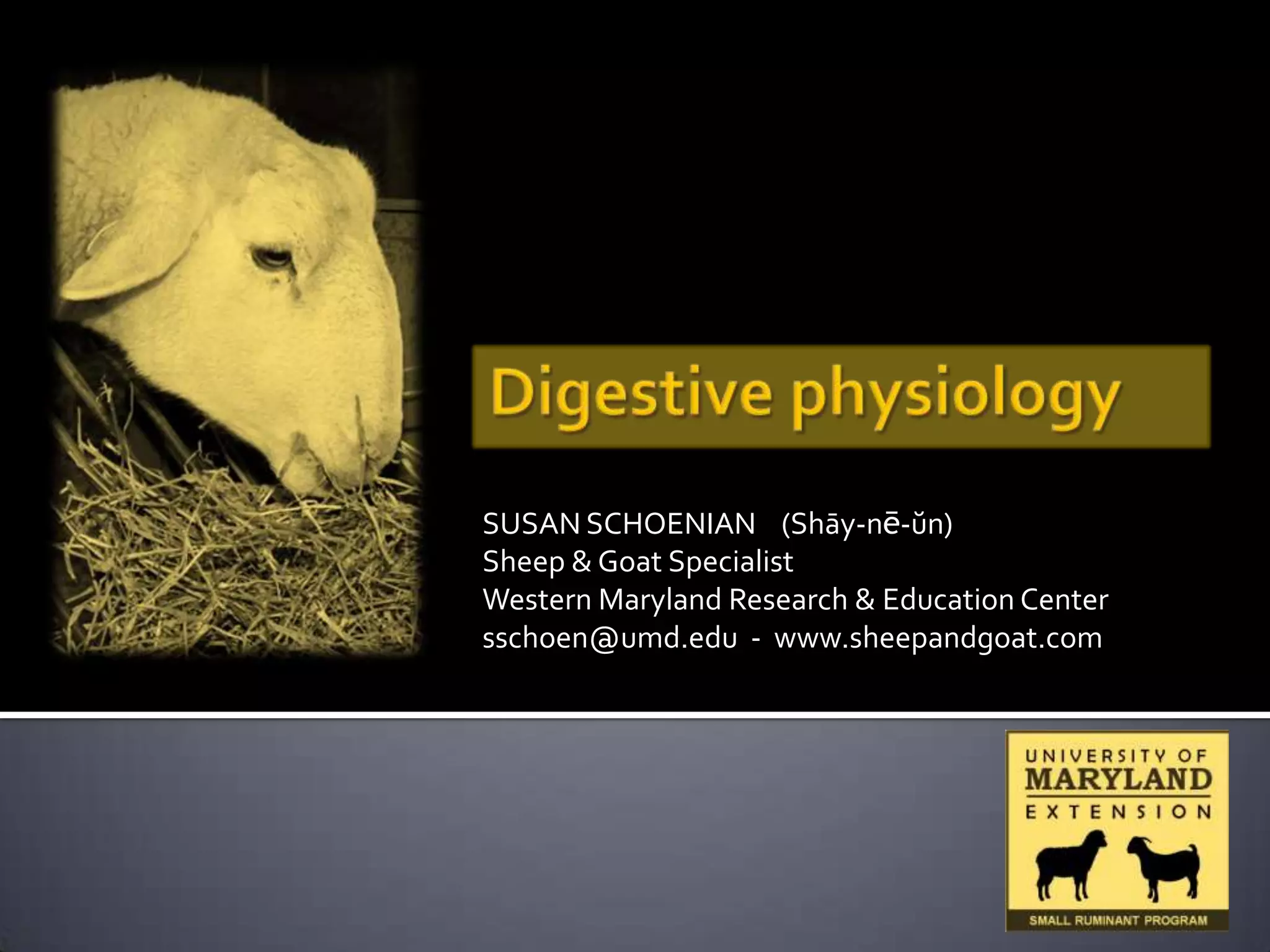 Digestive physiology | PPTX