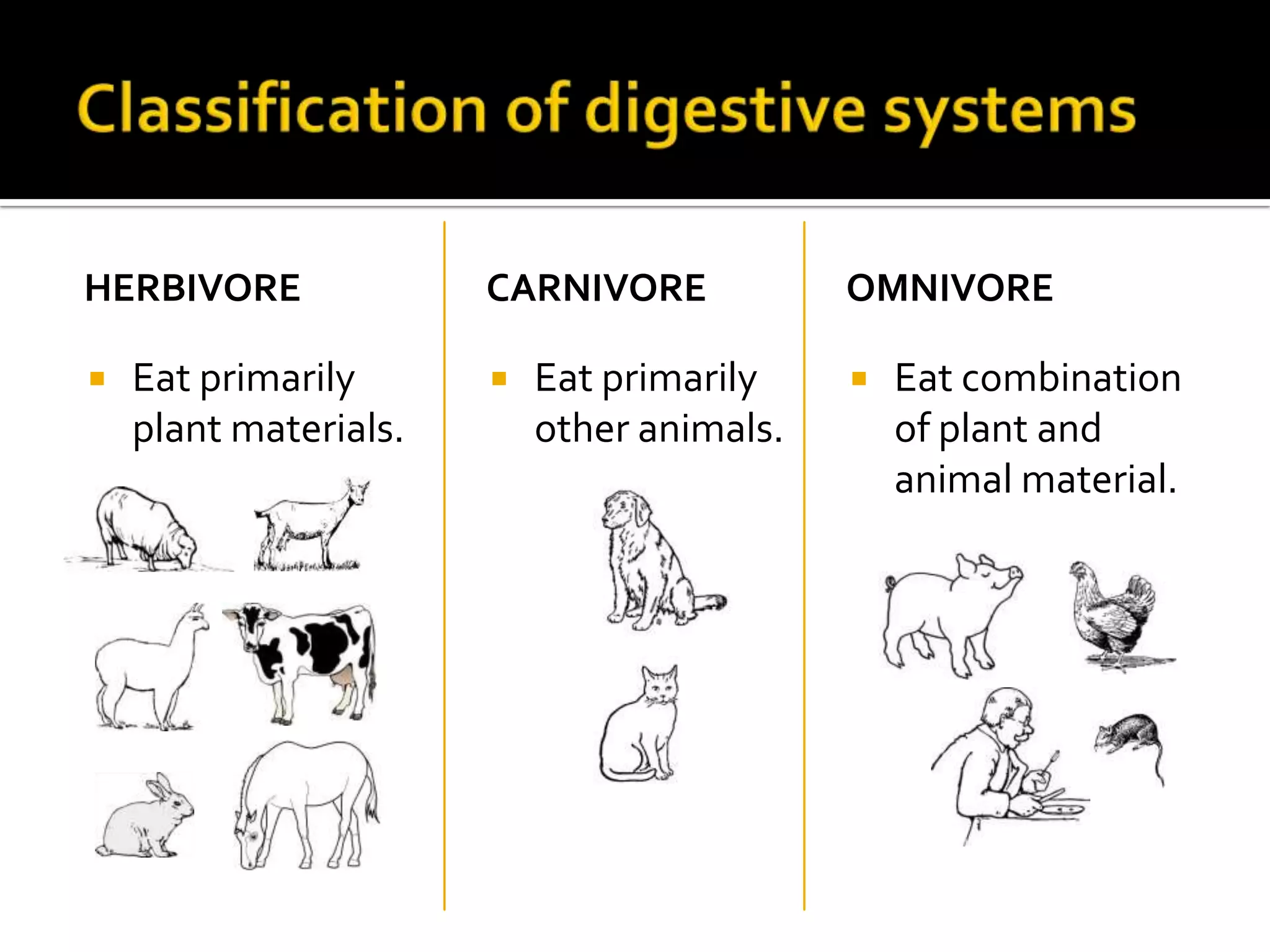 Digestive physiology | PPTX