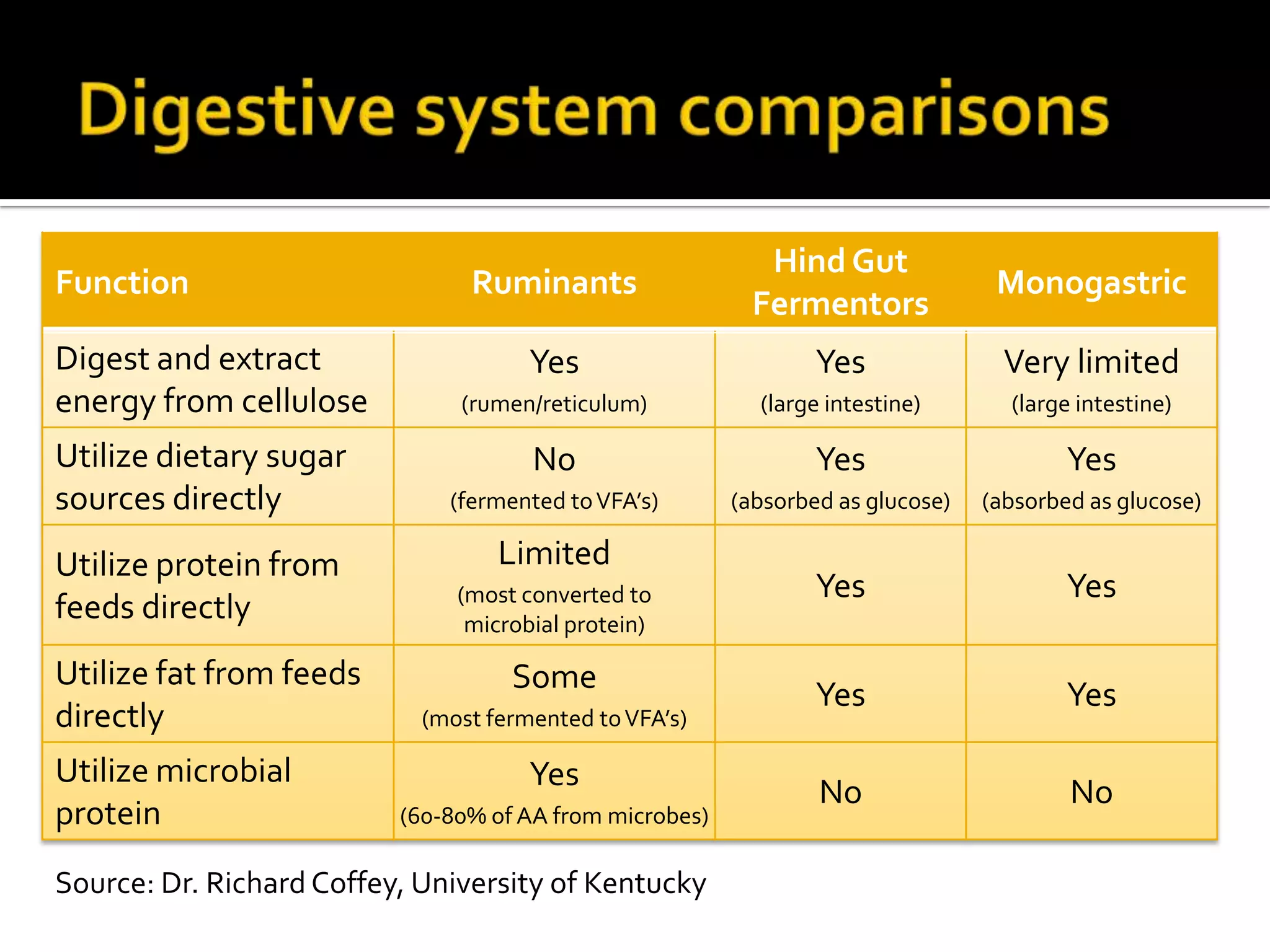 Digestive physiology | PPTX