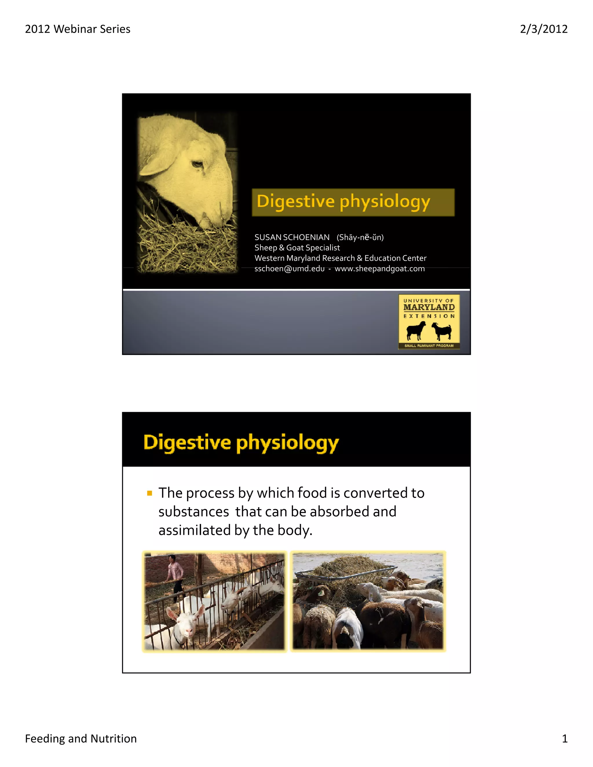 Digestive physiology | PDF