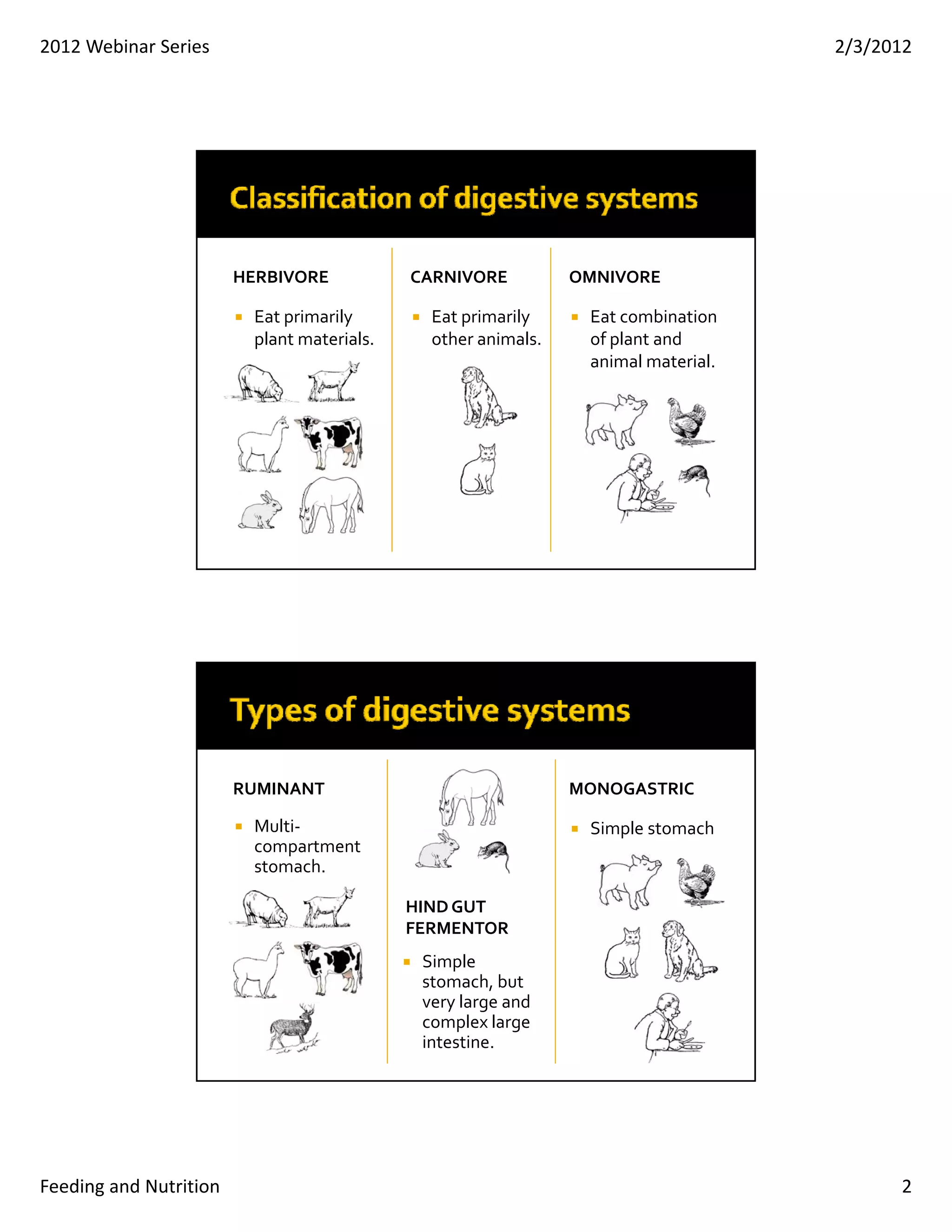 Digestive physiology | PDF