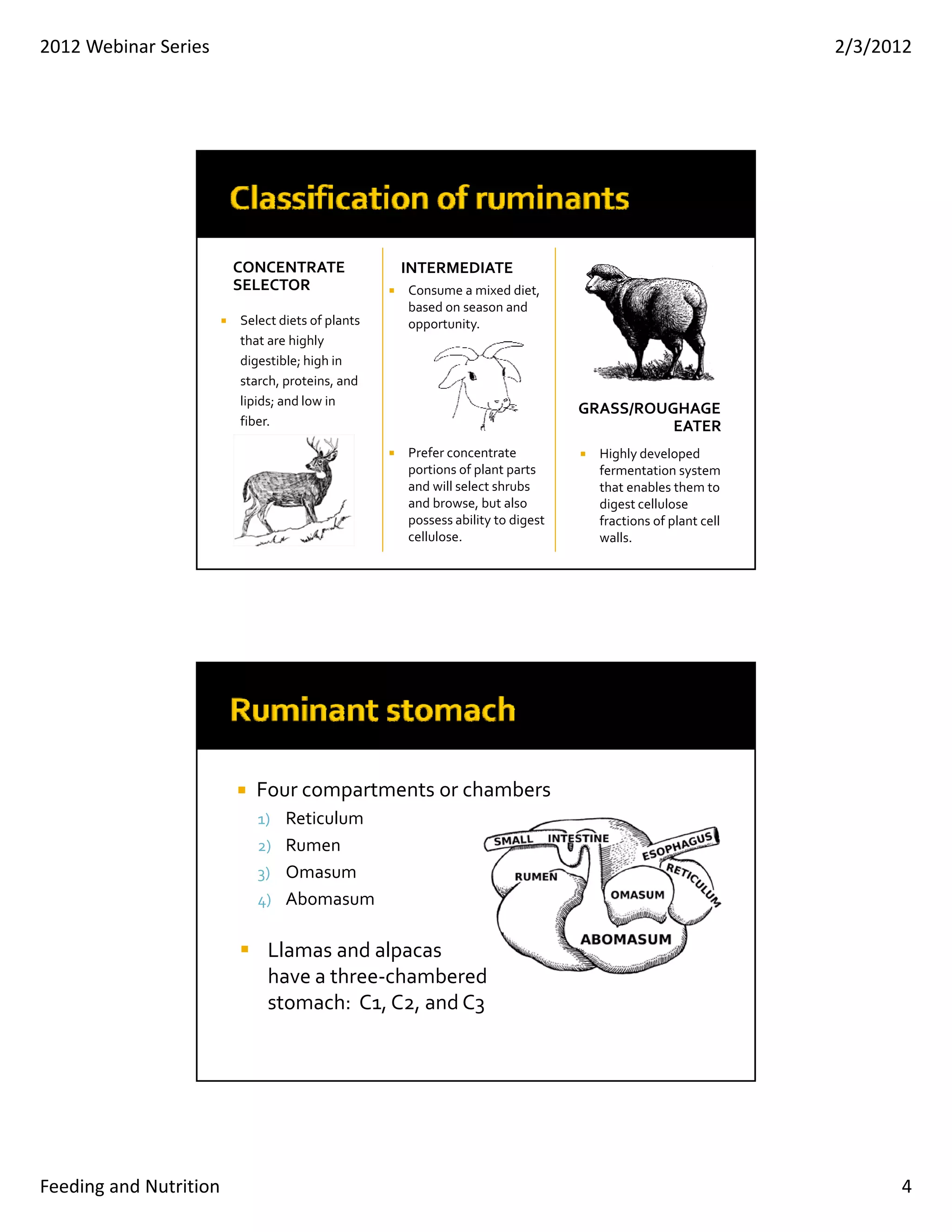 Digestive physiology | PDF