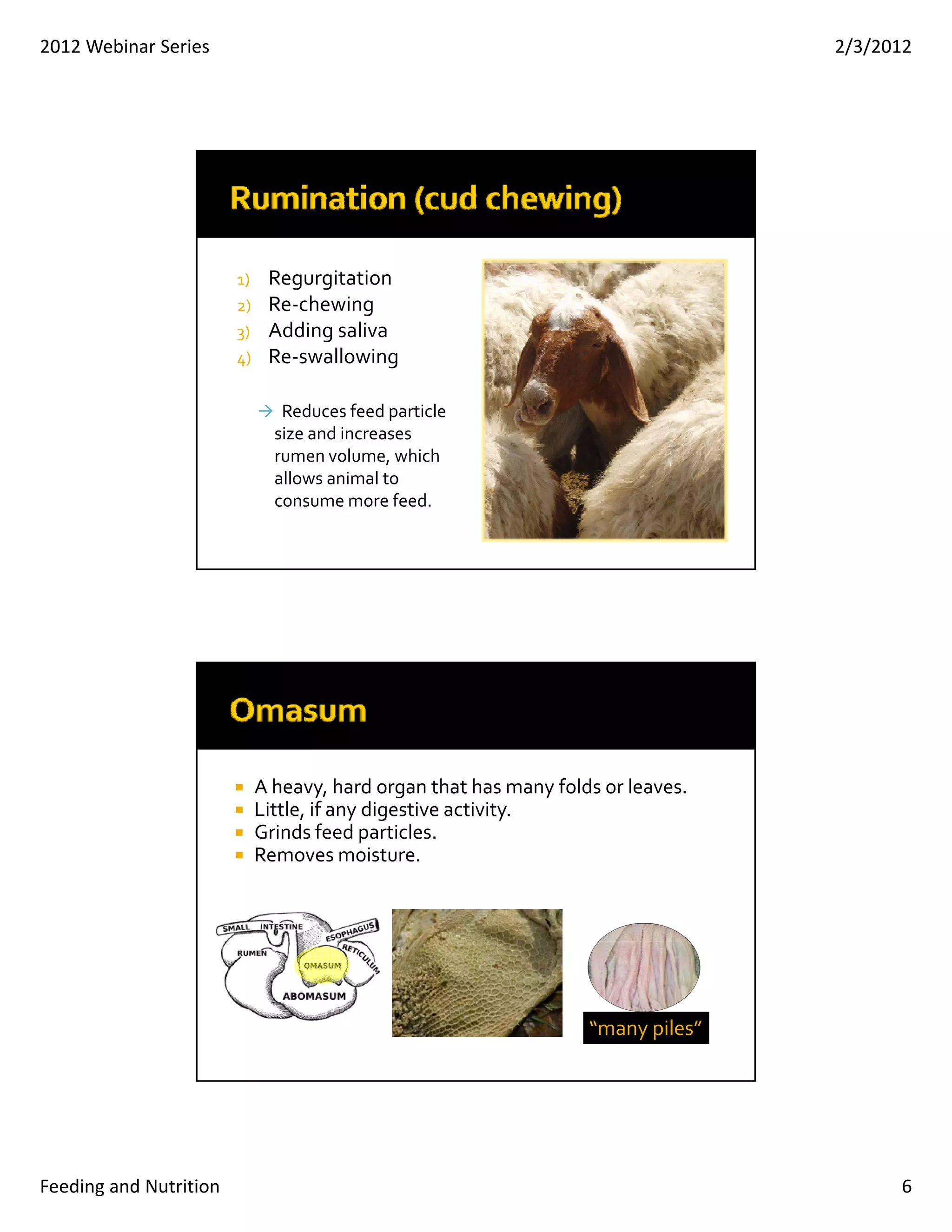 Digestive physiology | PDF