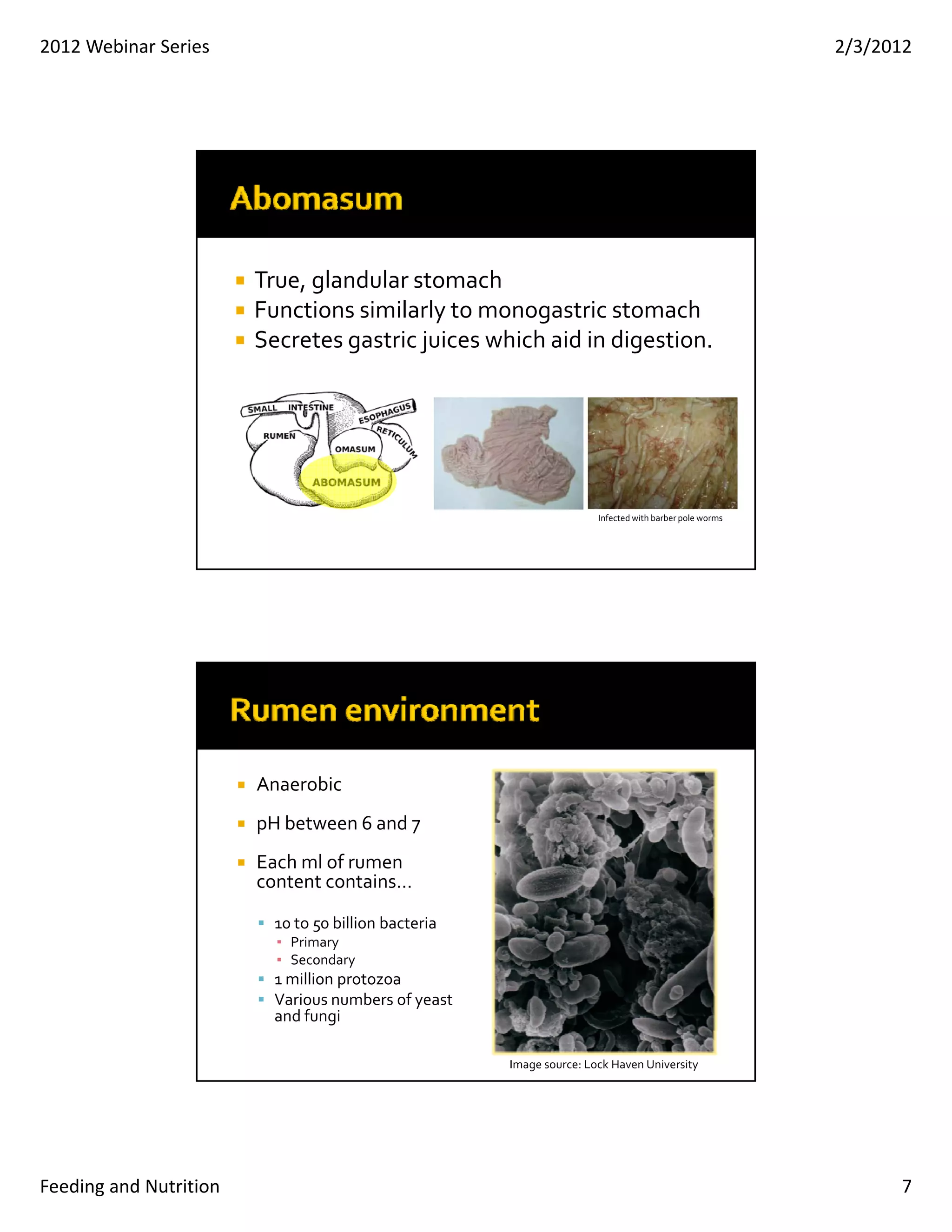 Digestive physiology | PDF