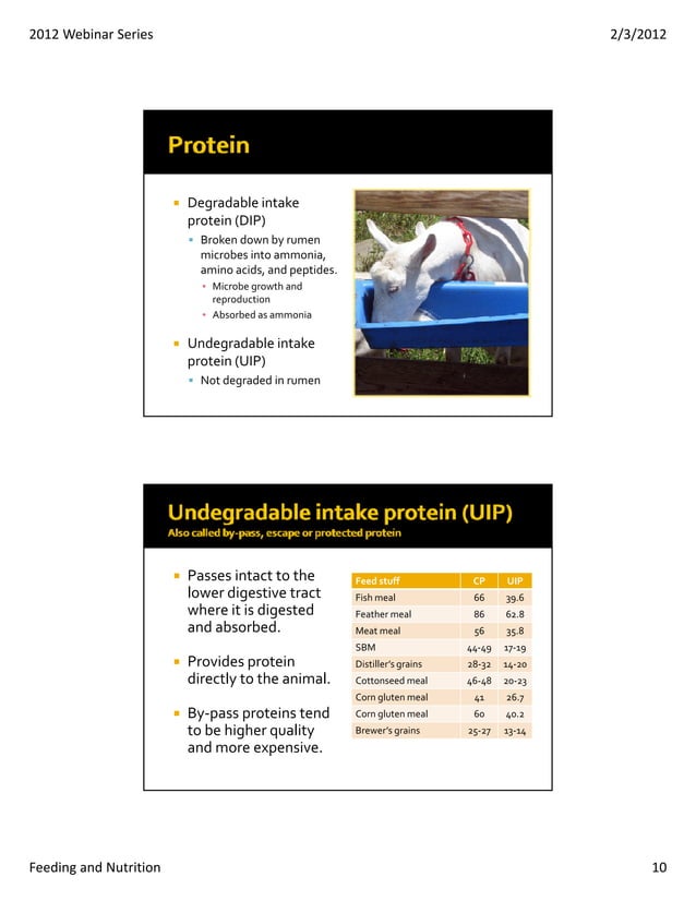 Digestive physiology | PDF