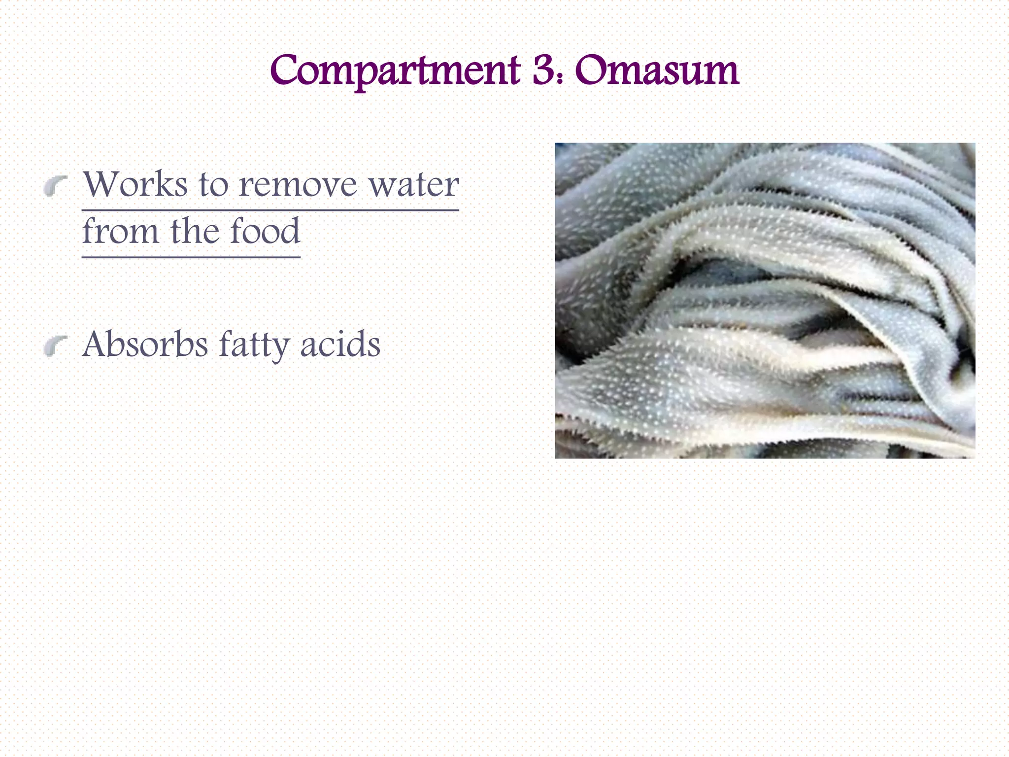 Digestive physiology of farm animals | PPTX
