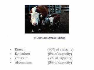Digestive physiology of farm animals | PPTX