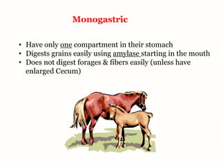 Digestive physiology of farm animals | PPTX