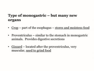 Digestive physiology of farm animals | PPTX