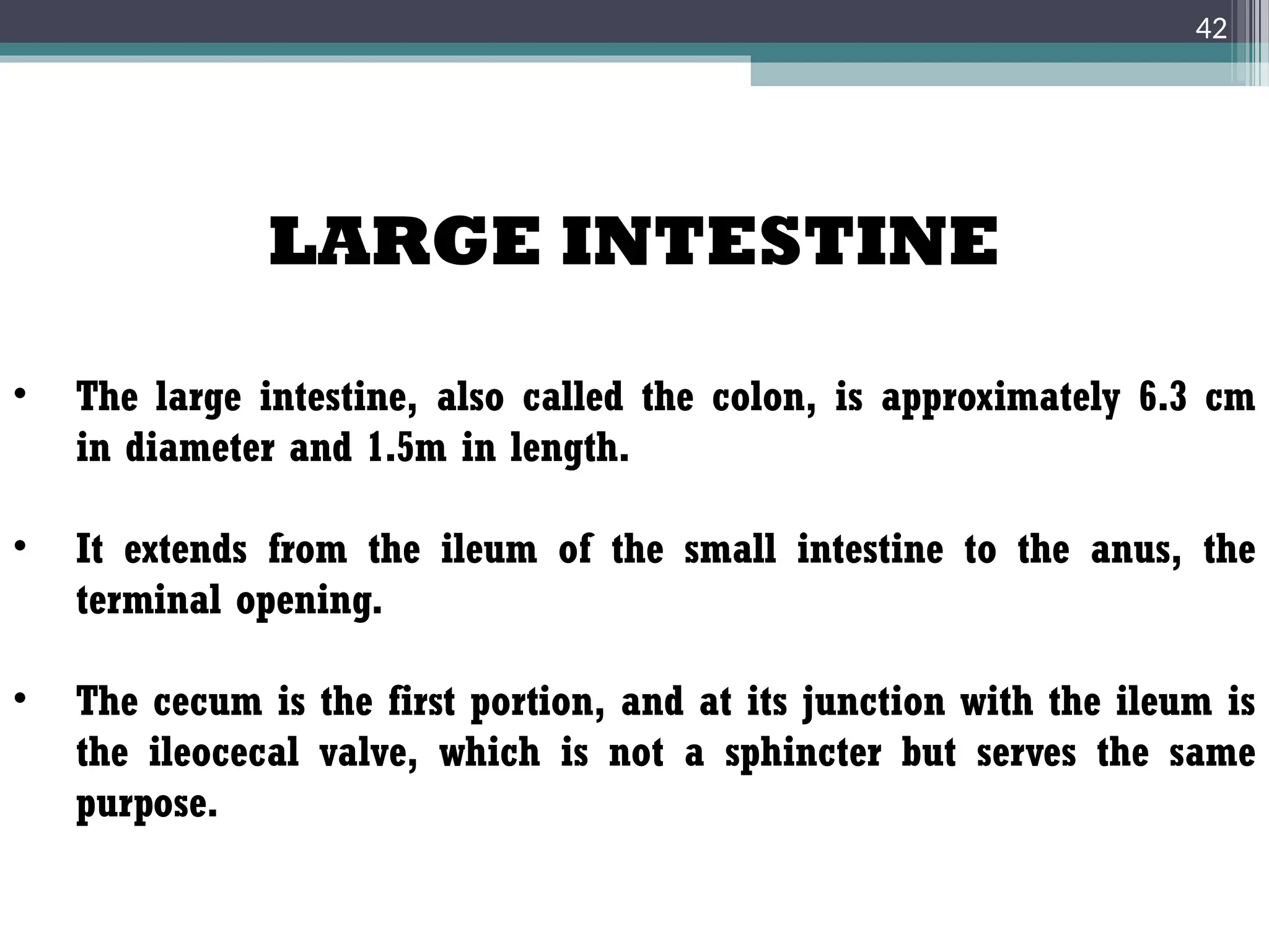 Digestive physiology of gastrointestinal tract.ppt