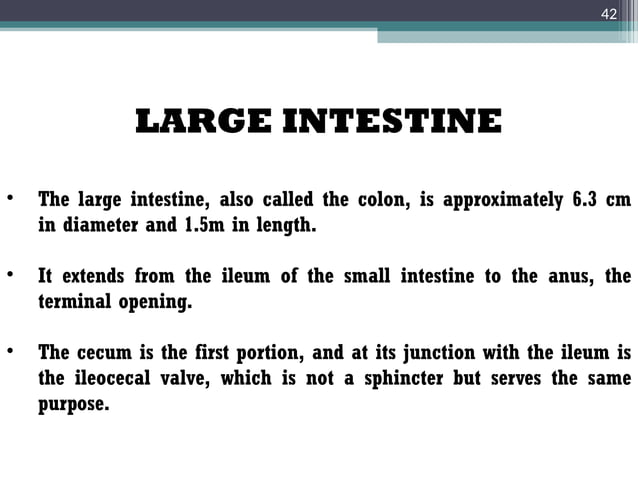 Digestive physiology of gastrointestinal tract.ppt