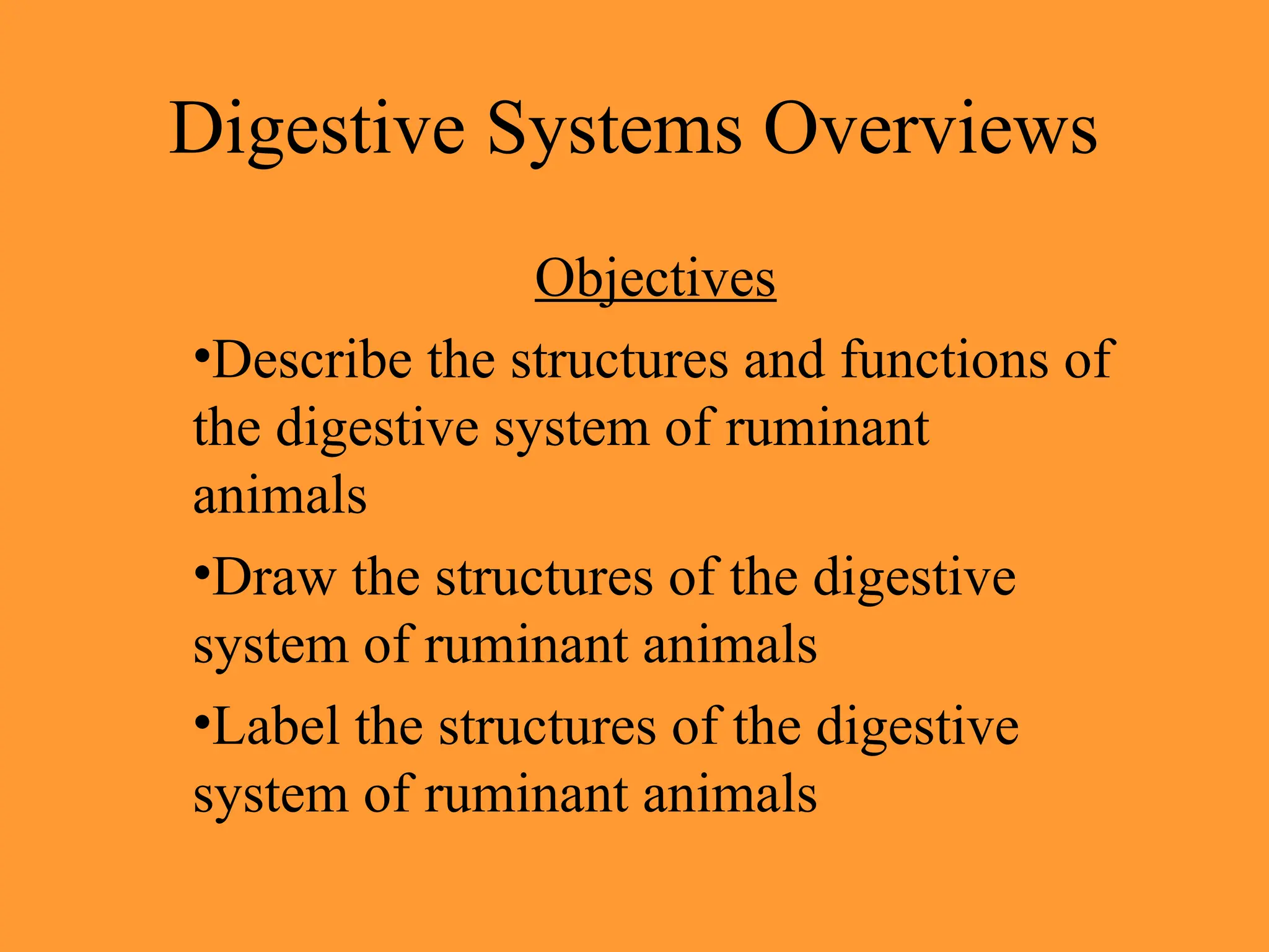 Digestivepowerpoint comparative anatomy.ppt
