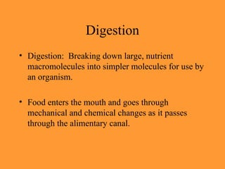 Digestivepowerpoint comparative anatomy.ppt