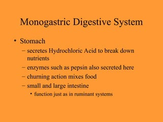 Digestivepowerpoint comparative anatomy.ppt