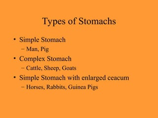 Digestivepowerpoint comparative anatomy.ppt