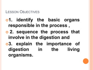 Digestive System and their Interaction with Other Organ | PPTX
