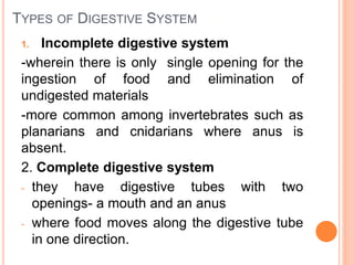 Digestive System and their Interaction with Other Organ | PPTX