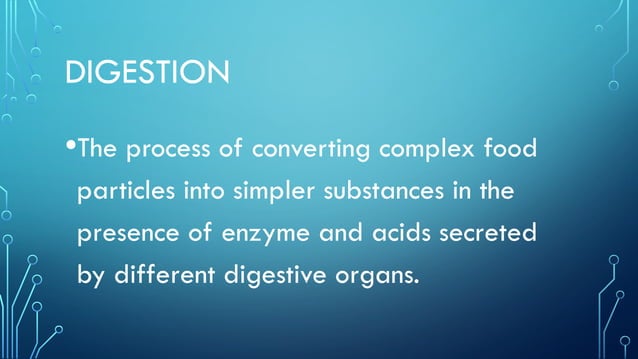 digestive parts power point presentation | PPTX | Digestive Disorders | Diseases and Conditions
