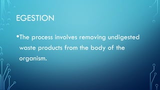 digestive parts power point presentation | PPTX | Digestive Disorders ...