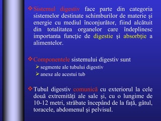 Digestives | PPT