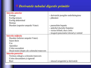 Digestives | PPT