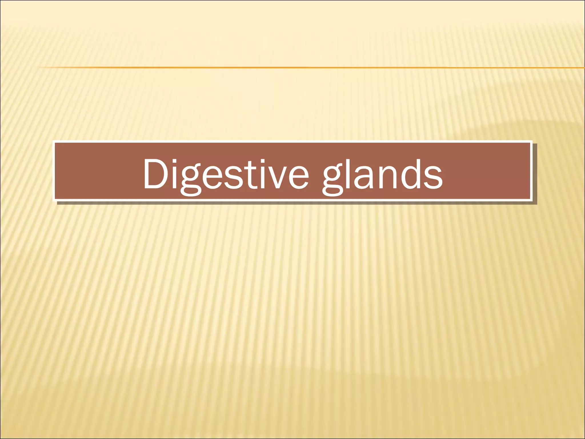 Grade 8 - Digestive System | PPT
