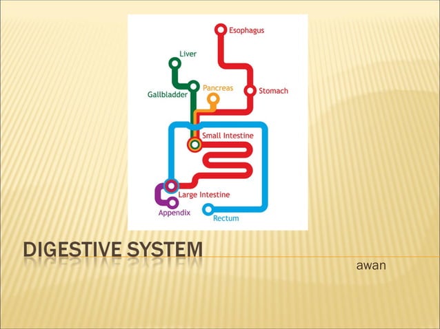 Grade 8 - Digestive System | PPT | Digestive Disorders | Diseases and ...