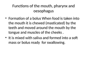 digestive syetem ppt for nursing students | PPTX