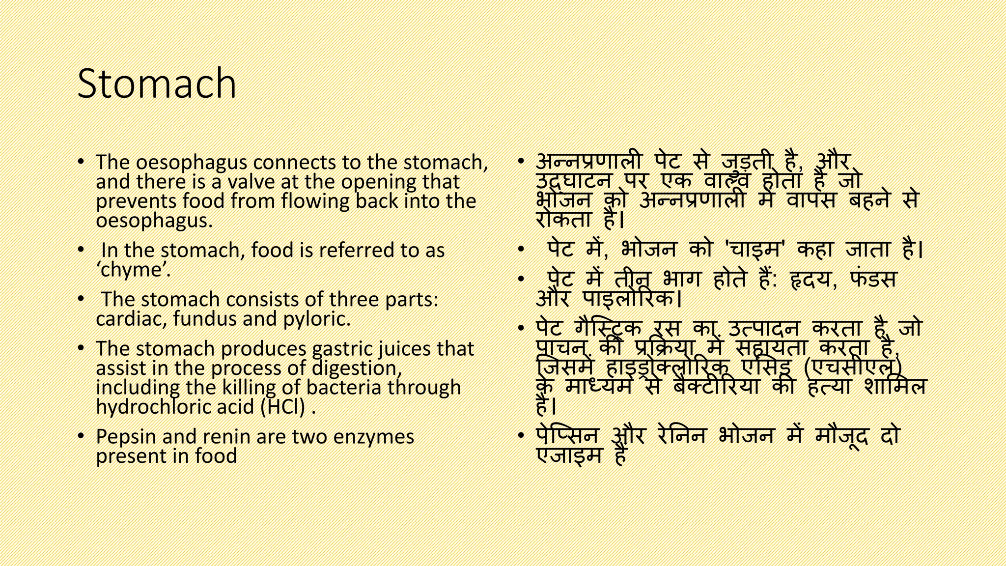 digestive syste.pdf human digestive system document | PDF
