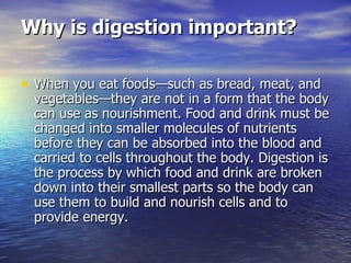 Digestive System | PPT